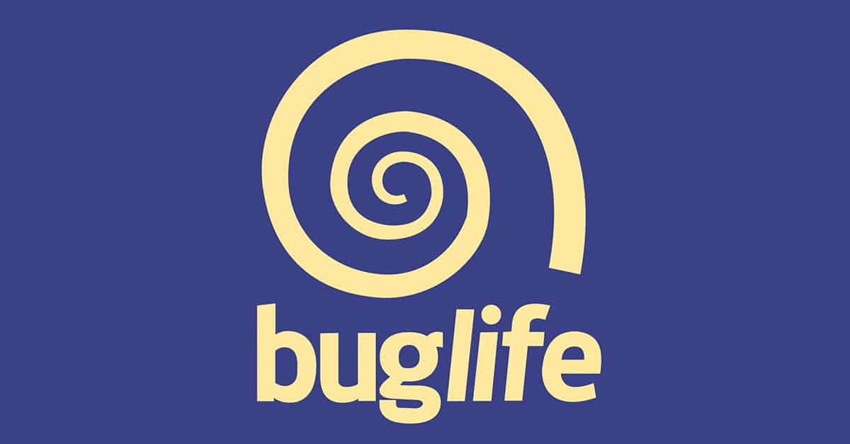 Buglife Bees NFT Collection - Fungii Studios